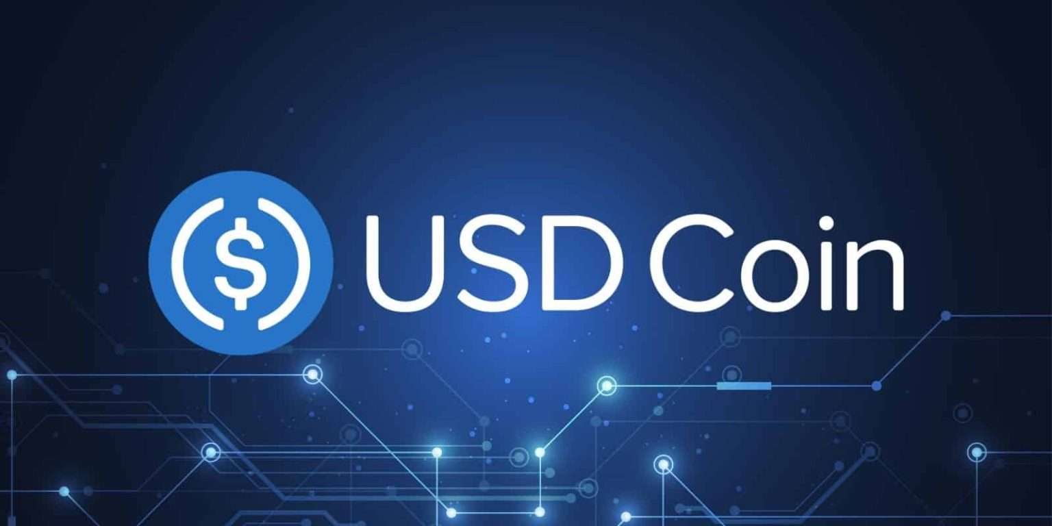 USDコイン(USDC)とは？仕組みや特徴、将来性を解説 - BTCC