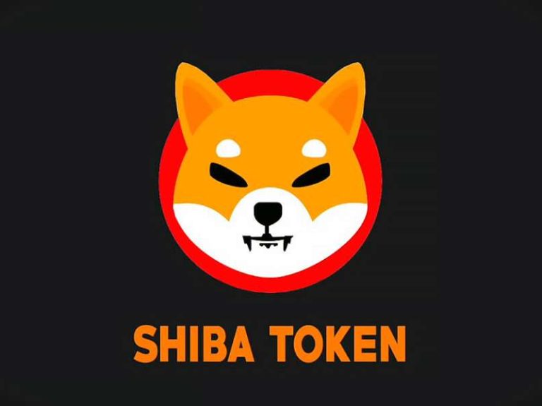 시바이누 전망 2025년...SHIB 코인 반등할 수 있나요? - BTCC