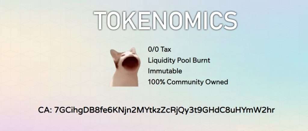 توقعات سعر Popcat ($POPCAT) لعام 2025 - 2030: وصول Popcat إلى قيمة سوقية بقيمة 1 مليار دولار، هل ...