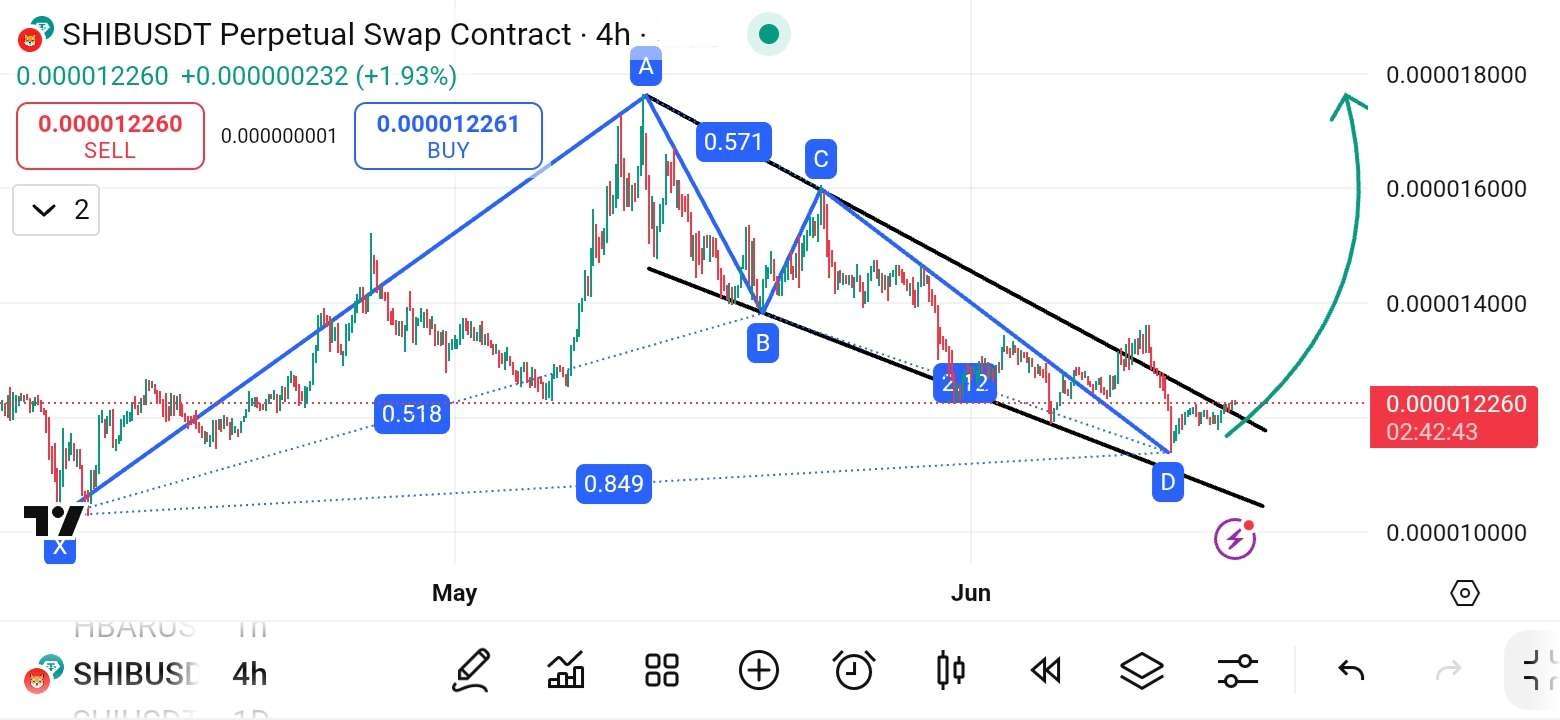 시바이누 전망 2025년...SHIB 코인 반등할 수 있나요? - BTCC